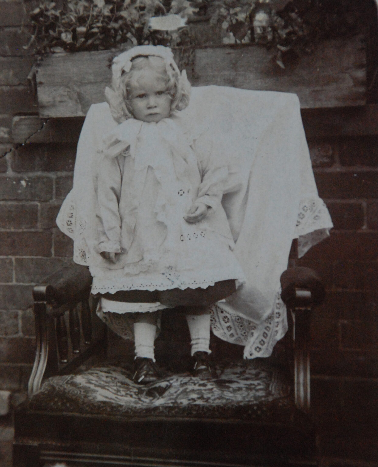 History – The Friends of Bennerley Viaduct